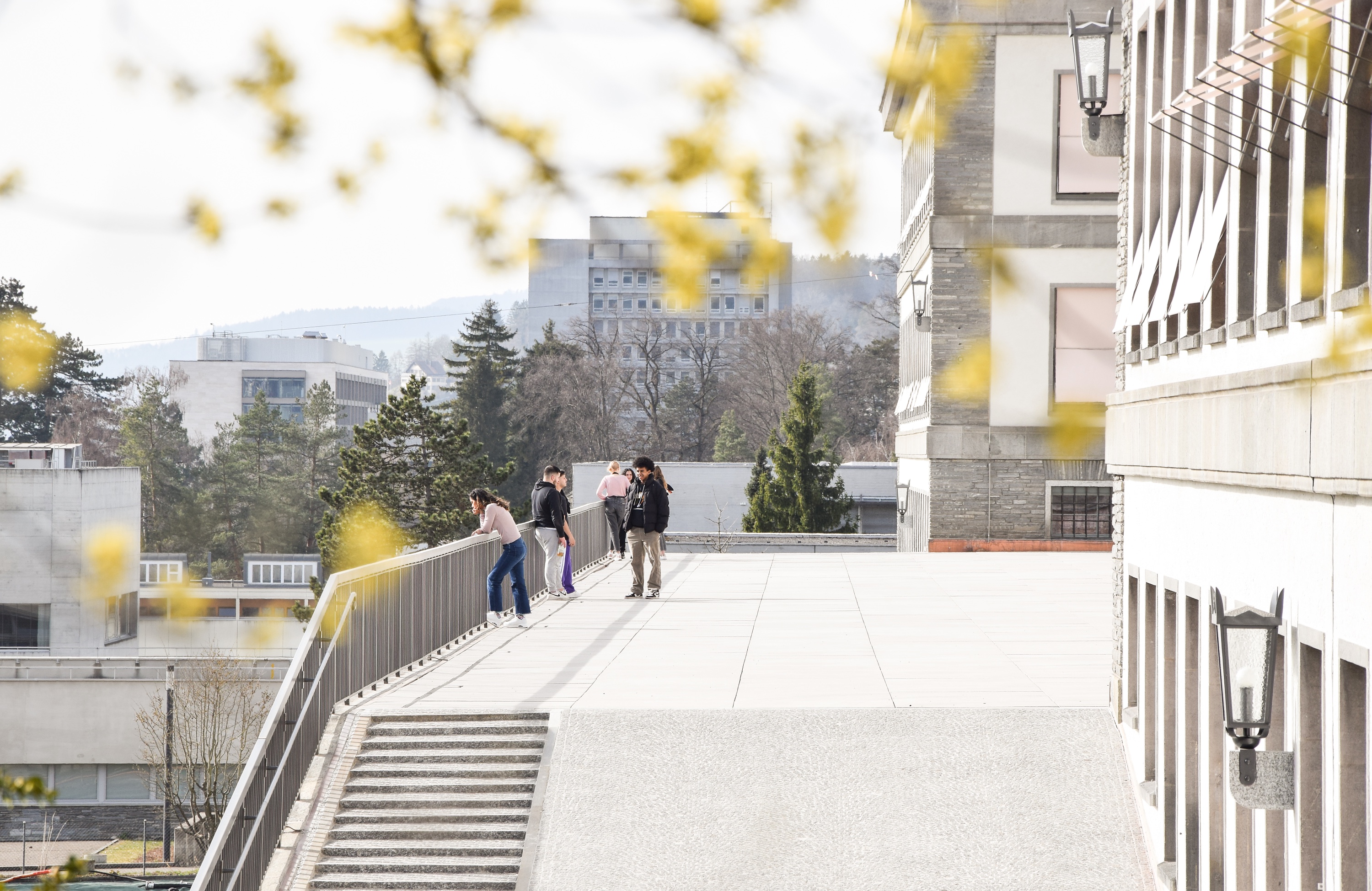 Moodle Lernplattform der Kantonsschule Im Lee